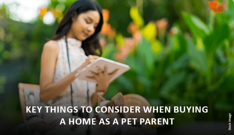 Key Things to Consider When Buying a Home as a Pet Parent